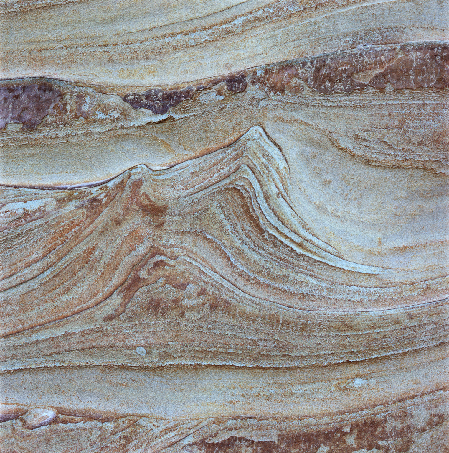 Gary Tepfer – Sandstone, Whale Cove – White Lotus Gallery