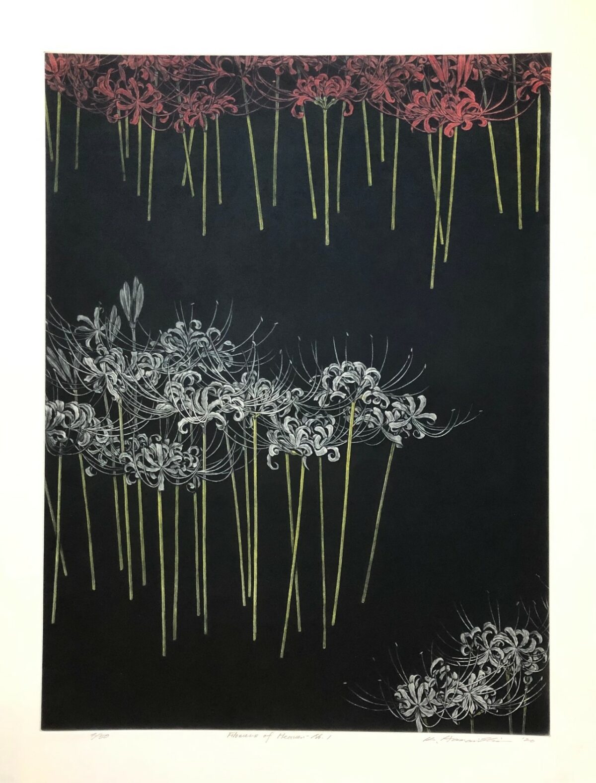Flower of Heaven No. 1 – White Lotus Gallery