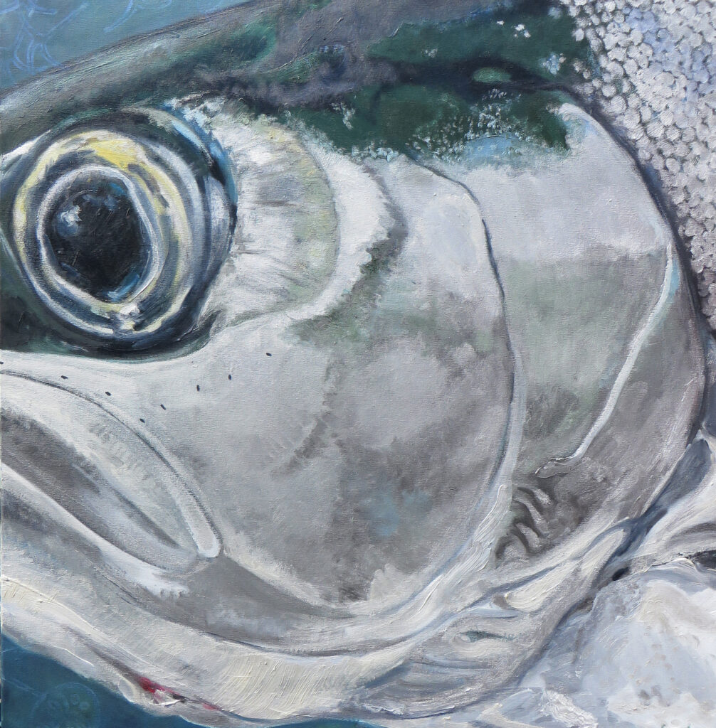 Analee Fuentes – Coho Smolt, Gill Plate – White Lotus Gallery